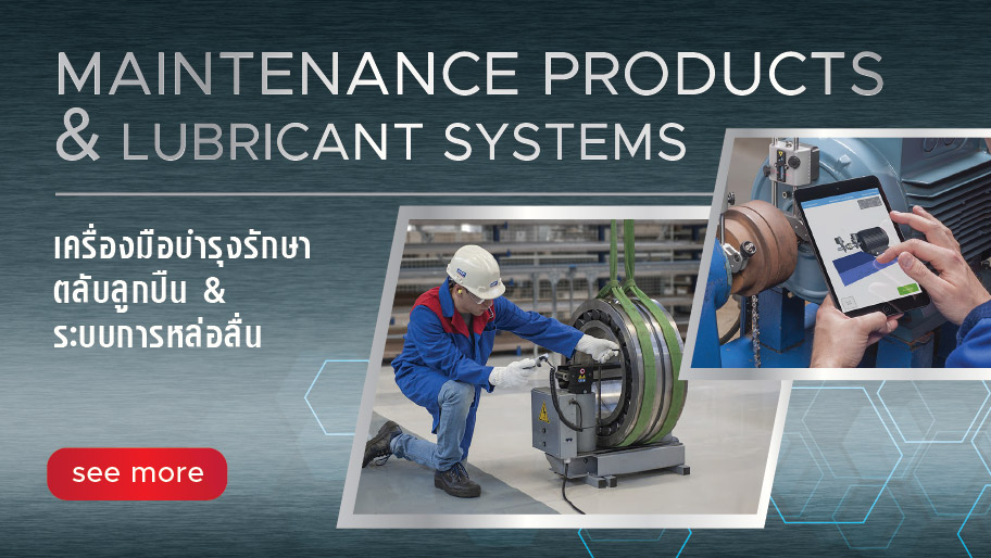 MAINTENANCE PRODUCTS & LUBRICANT SYSTEMS